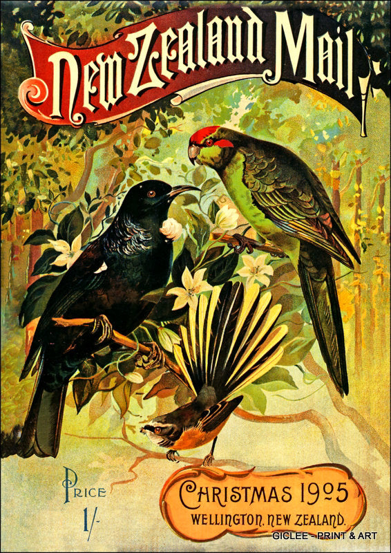 Vintage NZ Tourism Prints - NZ Native Birds – The Fantail House